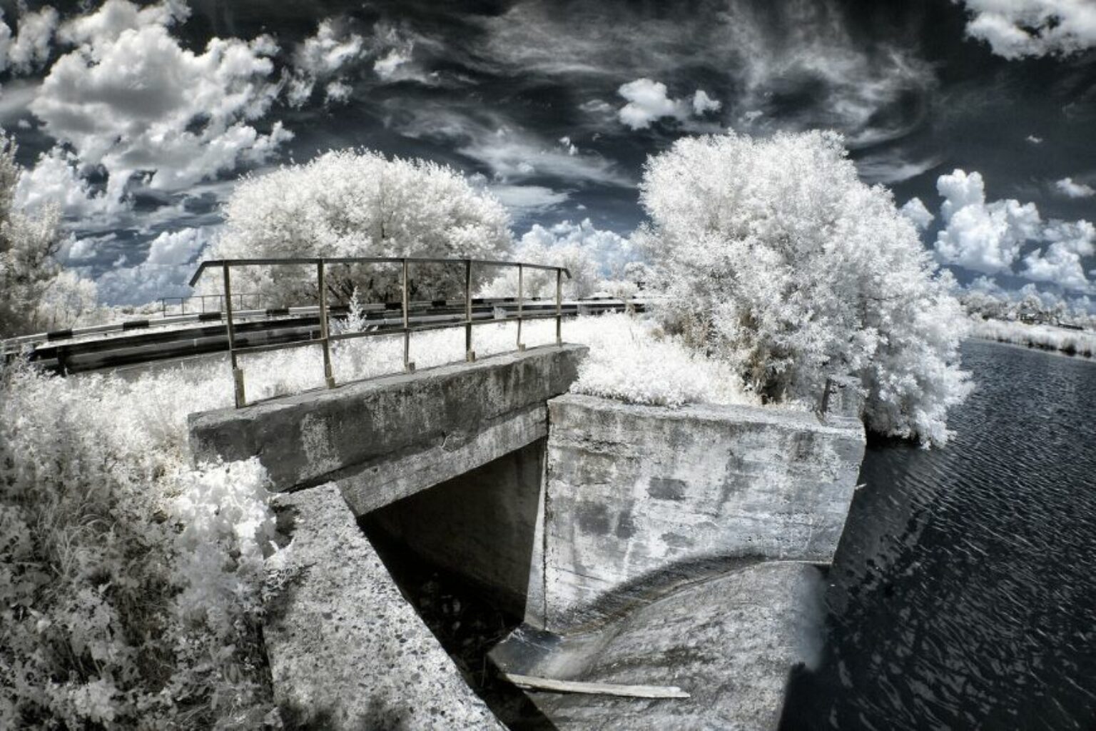 Explaining Infrared Colors in IR Photography – Siliconsavy.com